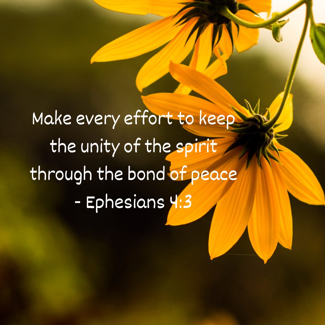 Stations That Are Located In Your City - Positive Life Radio