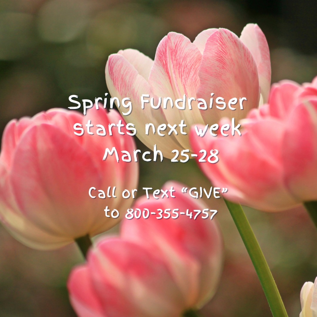 Stations That Are Located In Your City - Positive Life Radio